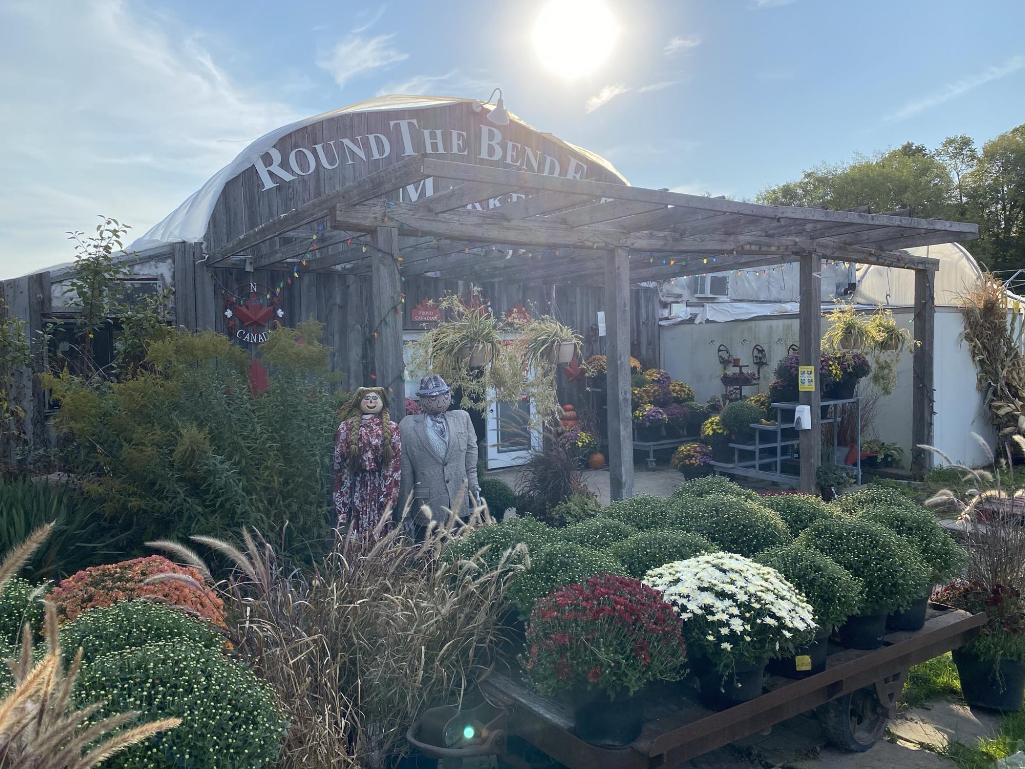 Countryside | Township Of King